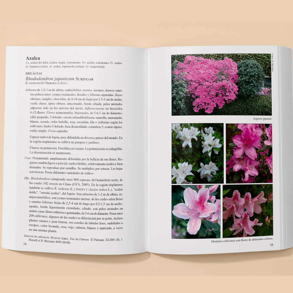 Biota Rioplatense: Arbustos 2. Nativos Y Exóticos