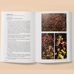 Biota Rioplatense: Arbustos 2. Nativos Y Exóticos