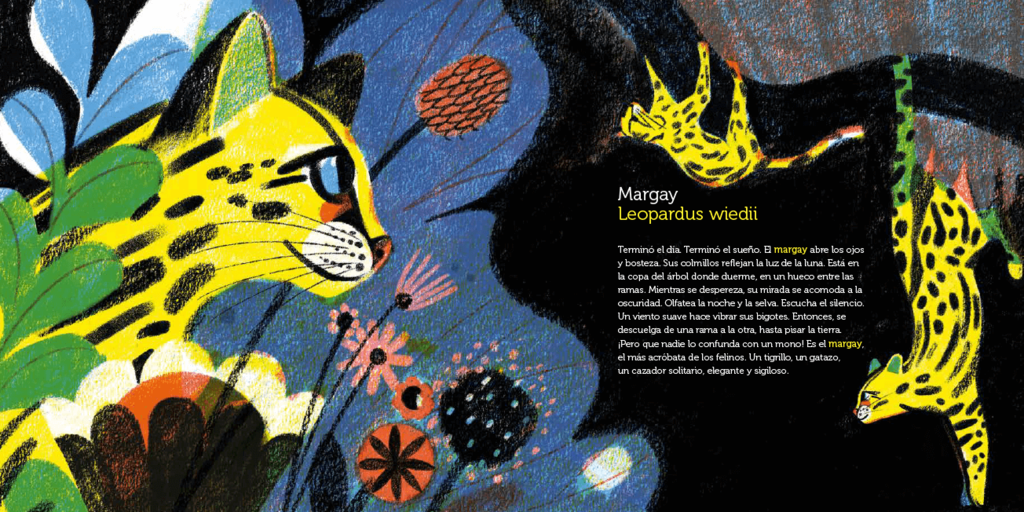 RONDA NOCTURNA - VIDA ANIMAL A LA LUZ DE LA LUNA