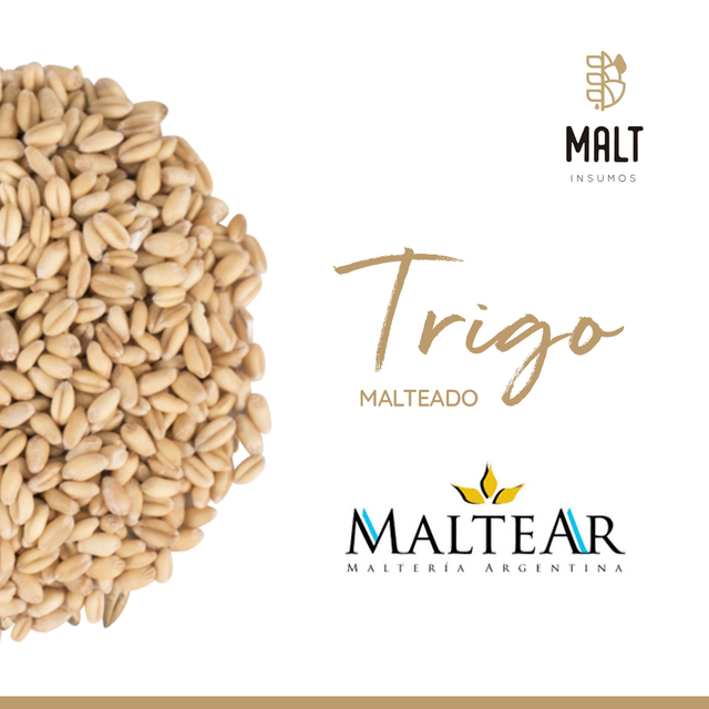 Comprar Maltear en Malt Insumos & Cervezas | Filtrado por Más Vendidos