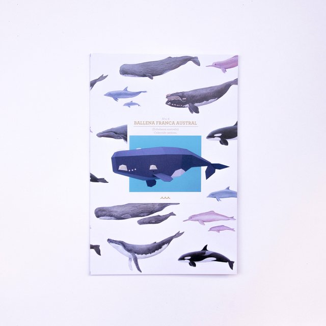 Ballena Franca Austral de papel para armar