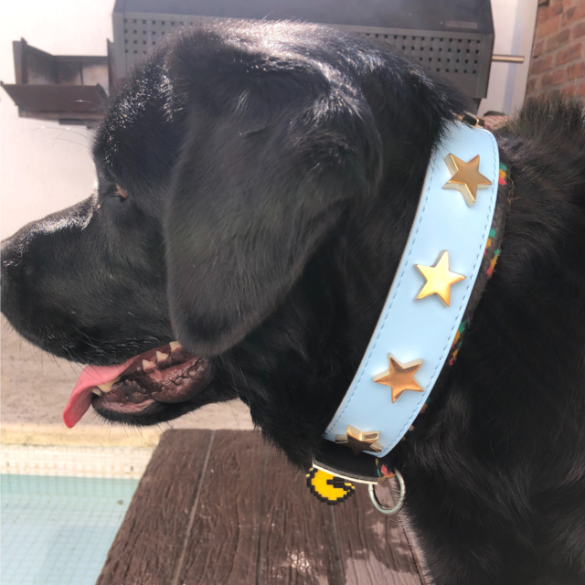 ALI GOLD Edition 24 K