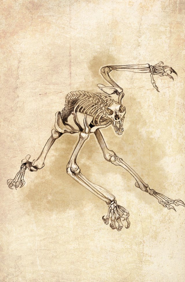 Anatomía de monstruos