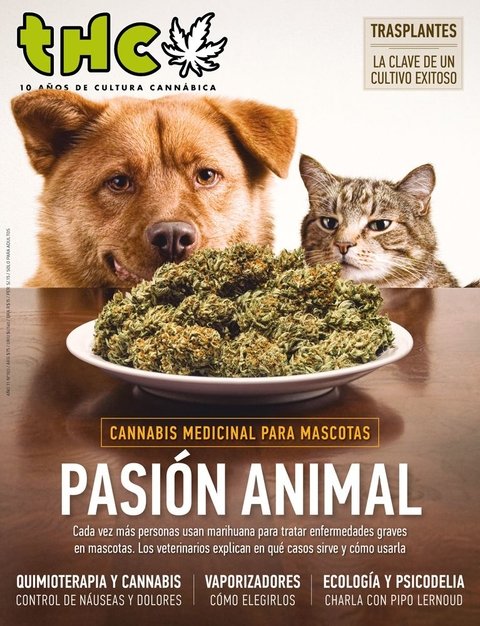 Revistas | Filtrado por Productos Destacados