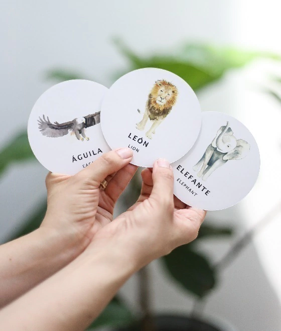 Juego de memoria animales de la selva