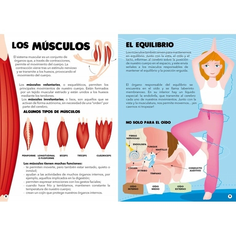Todo sobre el cuerpo humano (puzzle + libro)