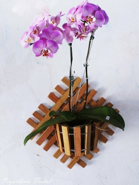 Cachepô individual mandala - Orquidário Frutal