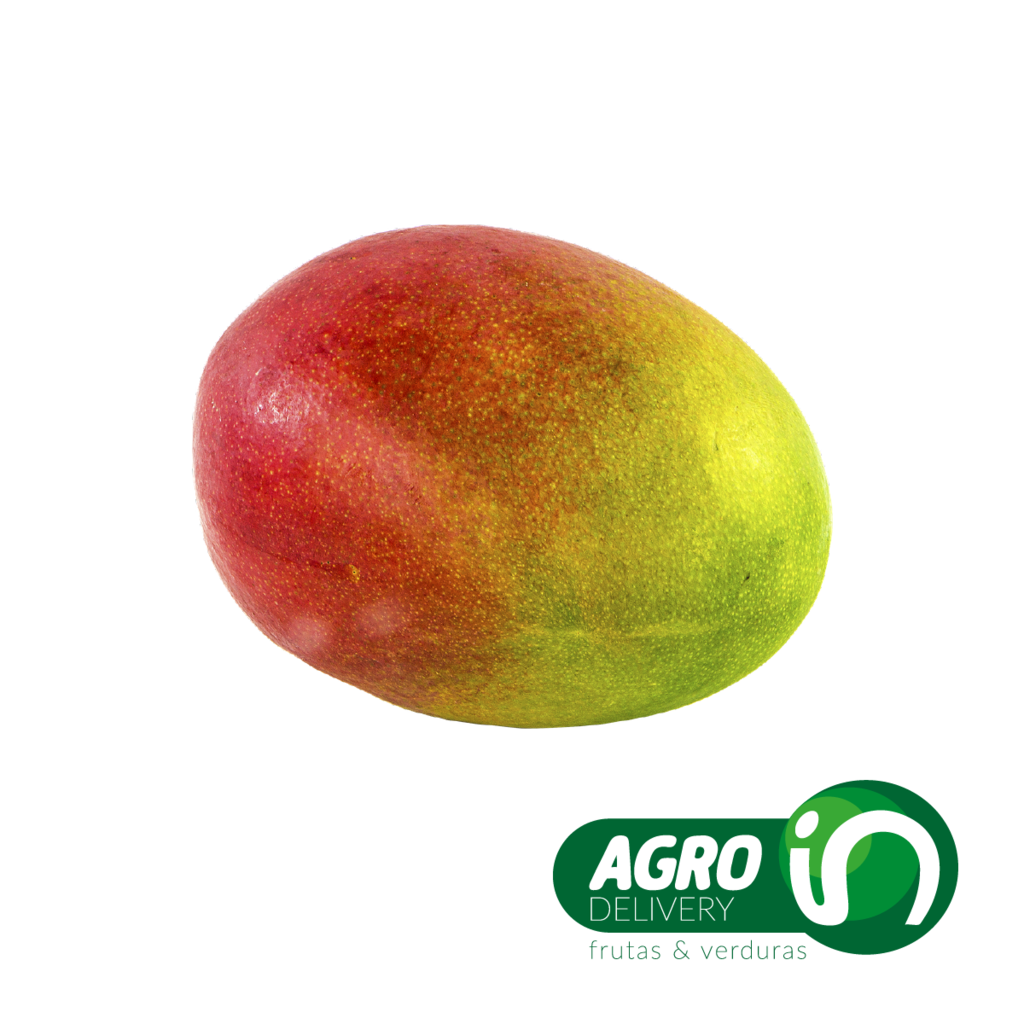 MANGO PERUANO KILO - Comprar en AGROIN