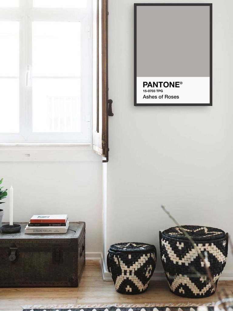 Pantone Gris - Comprar en Monstera