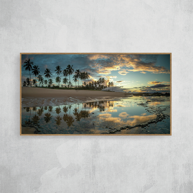 Coconuts reflection - Artista: Vitor Barbosa