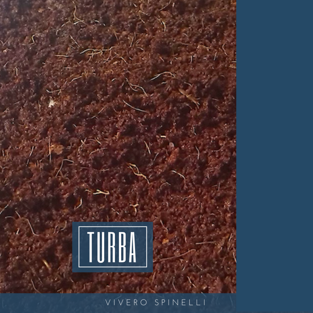 TURBA - Comprar en VIVERO SPINELLI