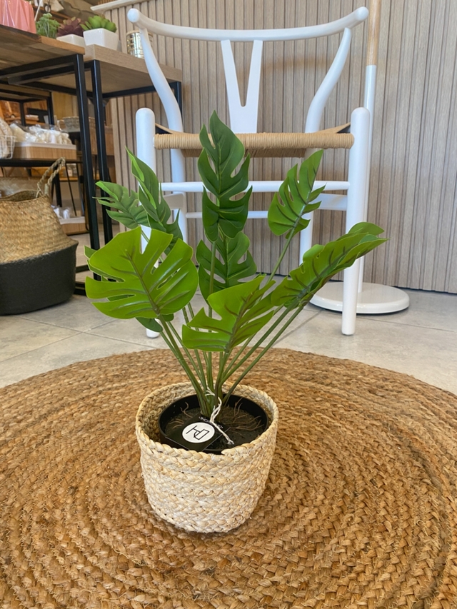 MONSTERA ARTIFICIAL 45CM MACETA CÓNICA - DecoHome