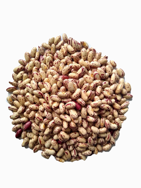 FEIJÃO RAJADO CAVALO