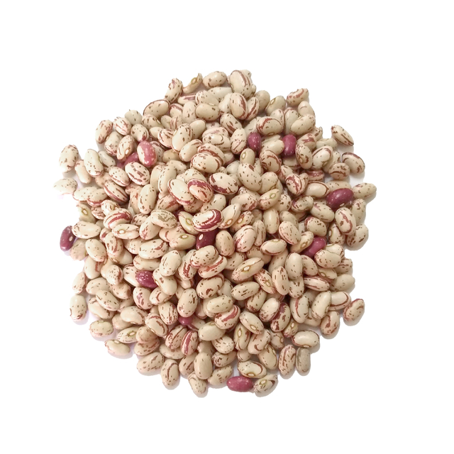 Feijão Rajado Bola - Comprar em JBJ INGREDIENTES