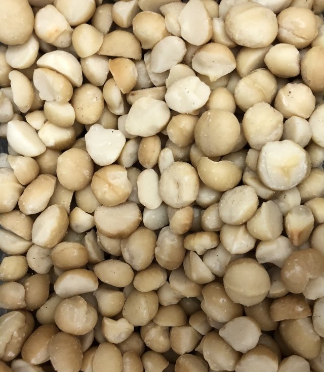 NOZ MACADÂMIA NATURAL CRUA | 100g