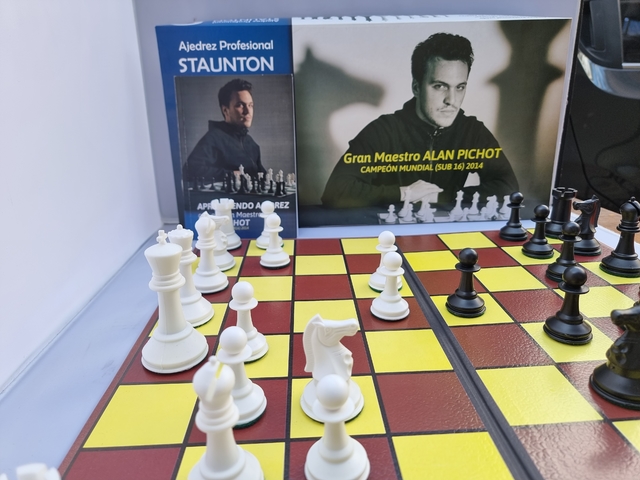 Juego Staunton del Campeón del Mundo Alan Pichot - Super Plomado y con ...