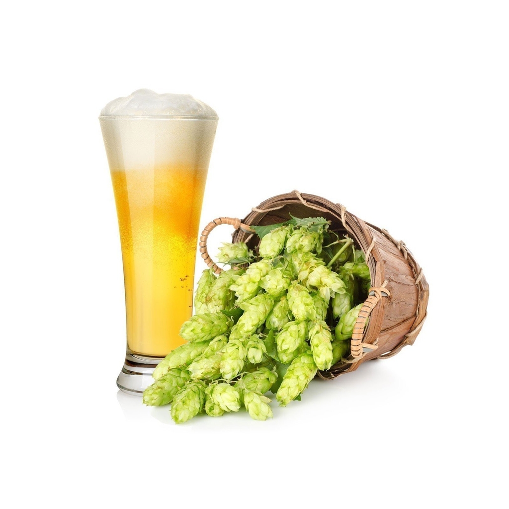 Trepadeira cerveja - Humulus lupulus - Plantamundo