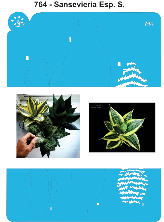 764 - Stencil Sansevieira Esp. S. Jorge