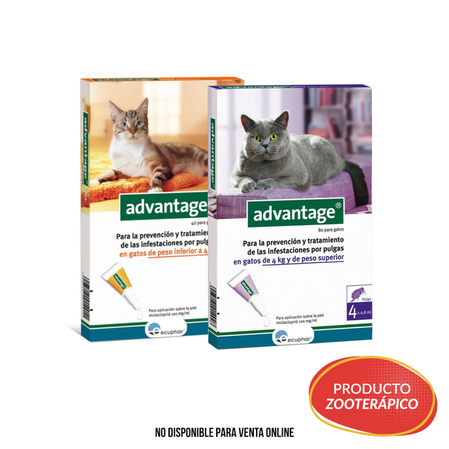 PIPETA ADVANTAGE BAYER GATO - Timoteo Pet Shop