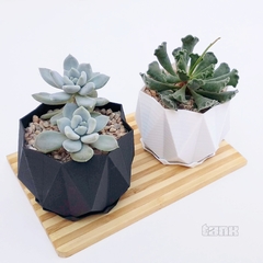 Maceta Rombos | Tamaño M - TANK Fábrica de Diseño