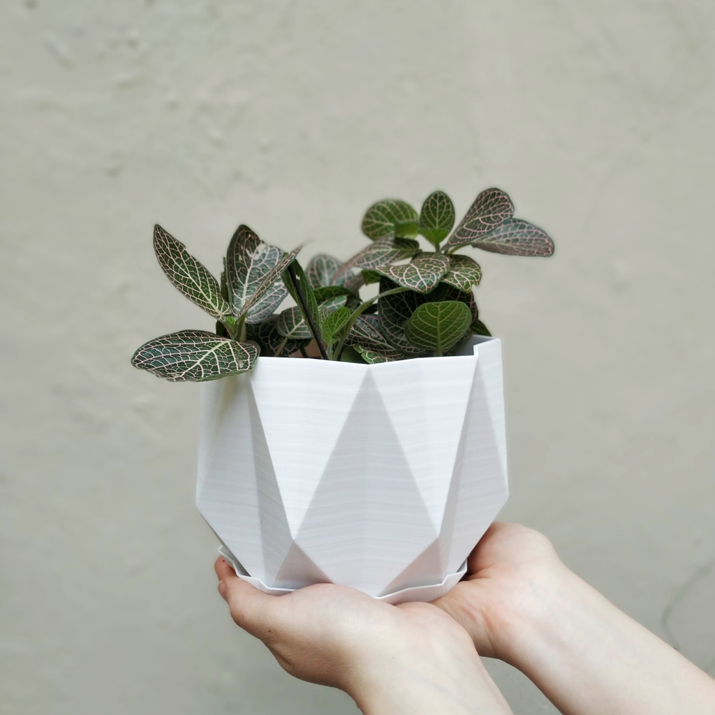 Maceta ROMBOS | Tamaño XL - TANK Fábrica de Diseño