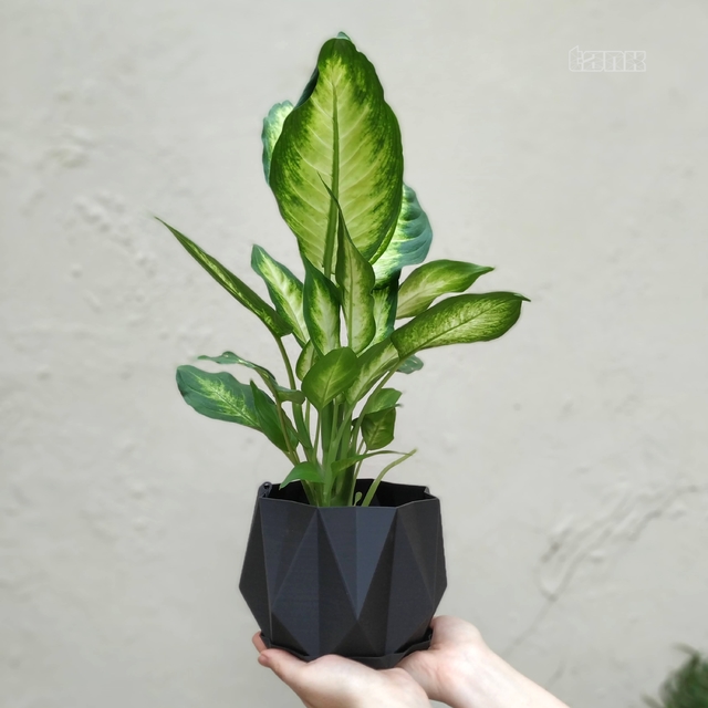 Maceta ROMBOS | Tamaño XL - TANK Fábrica de Diseño