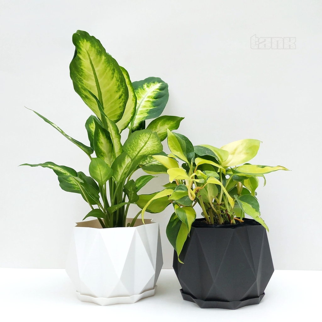 Maceta ROMBOS | Tamaño XL - TANK Fábrica de Diseño