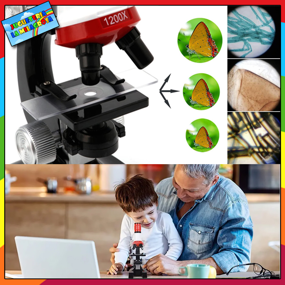 Microscopio de Enseñanza 1200x