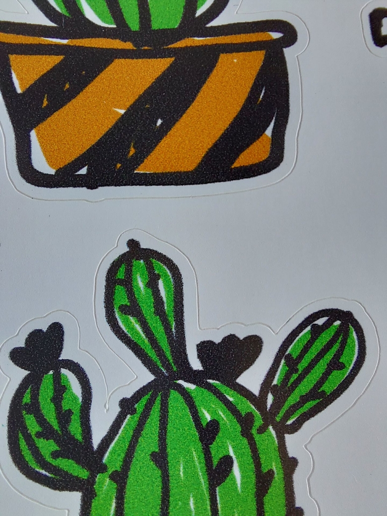 Stickers cactus - Comprar en Alondra Deco