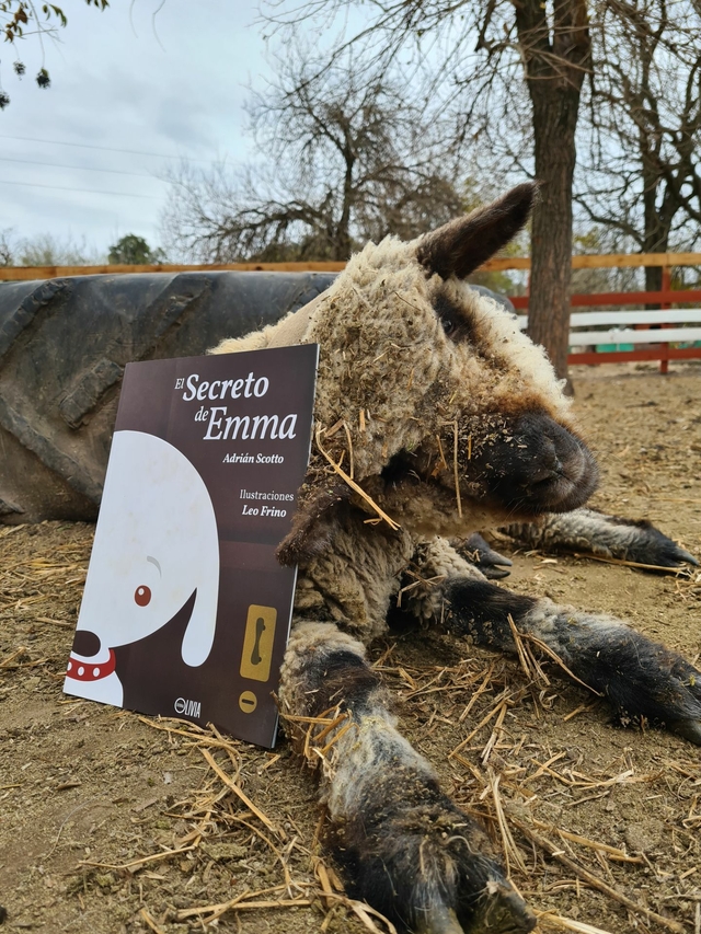 Cuento "El Secreto de Emma"