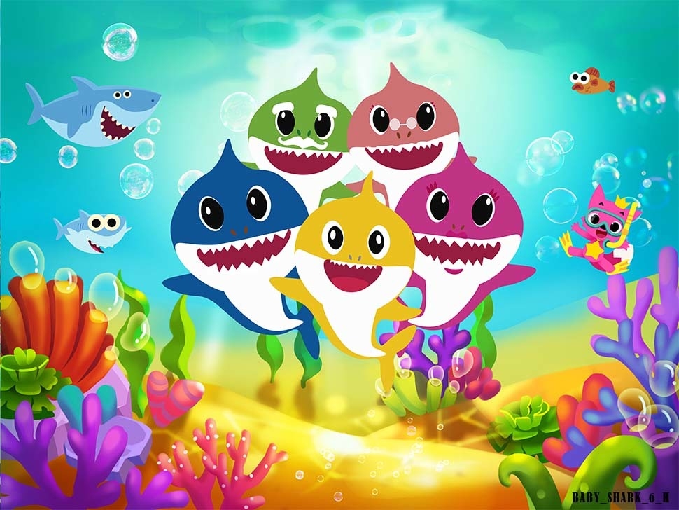 Fundo fotográfico BABY SHARK -202302