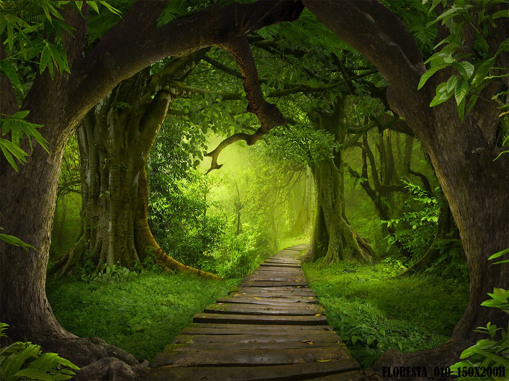 Cirandinha Fundos Fotográficos