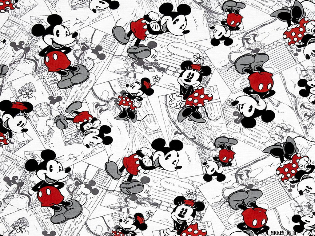 Fundo fotográfico M-MICKEY-01