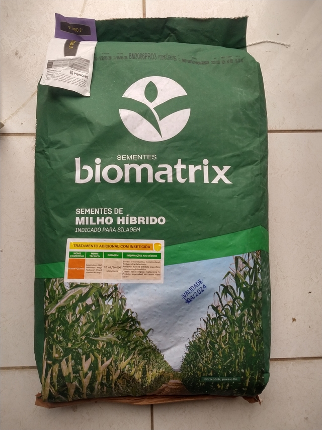 Semente De Milho Doce Verde Espiga Silagem Híbrido Biomatrix 3066 Vt ...