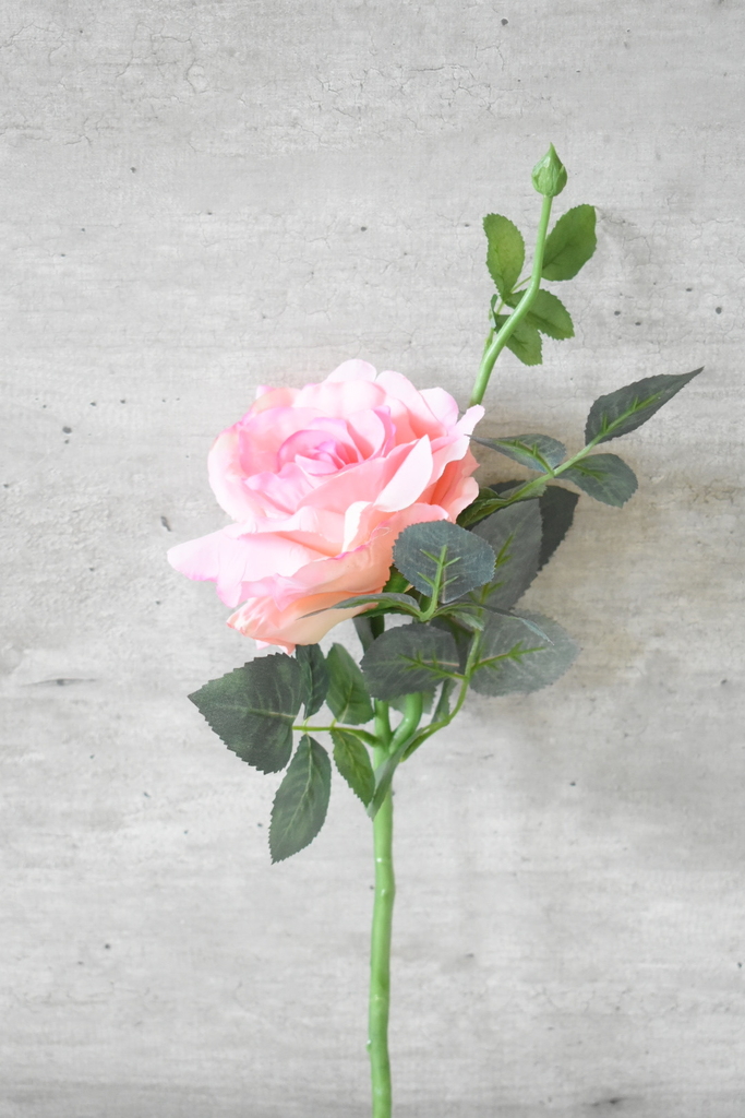 Rosas tallo corto - Comprar en Bromelia Design